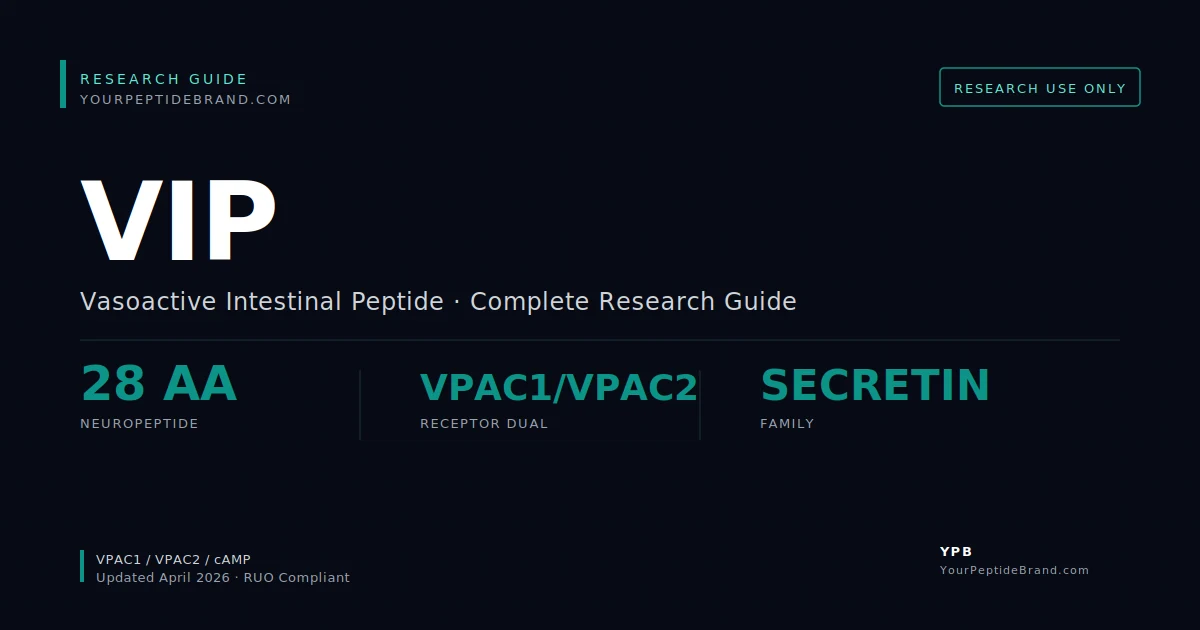 VIP (Vasoactive Intestinal Peptide) Research Guide — VPAC1/VPAC2 ...